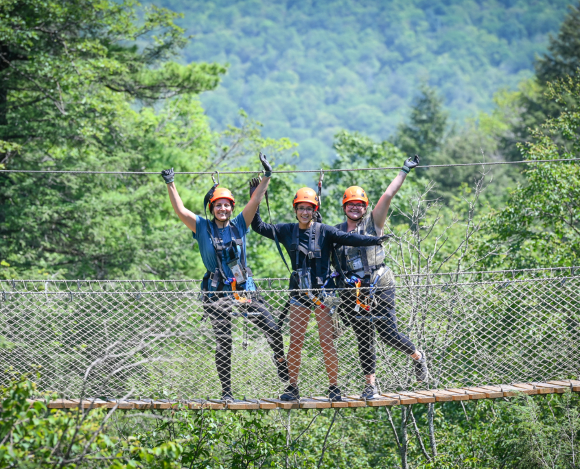 Exciting Outdoor Fun @ Bristol Mountain Aerial Adventures